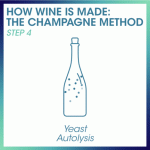 How Sparkling Wine Is Made: The Champagne Method - From The Vine