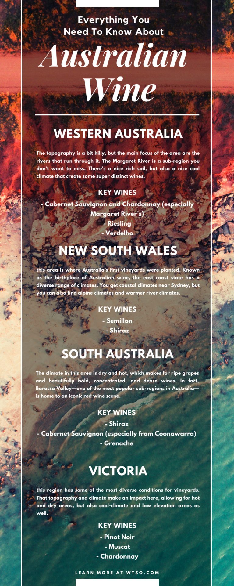 Everything You Need To Know About Australian Wine - From The Vine