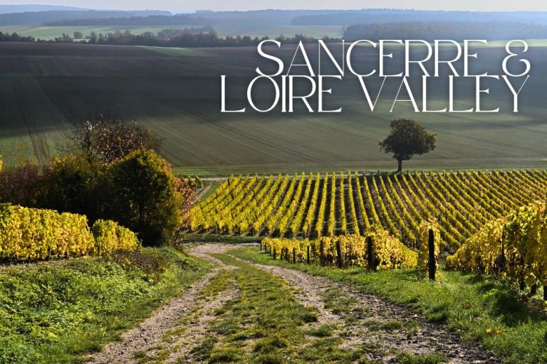 Sancerre & the Loire Valley: A Deeper Look Beyond Sauvignon Blanc - From The Vine